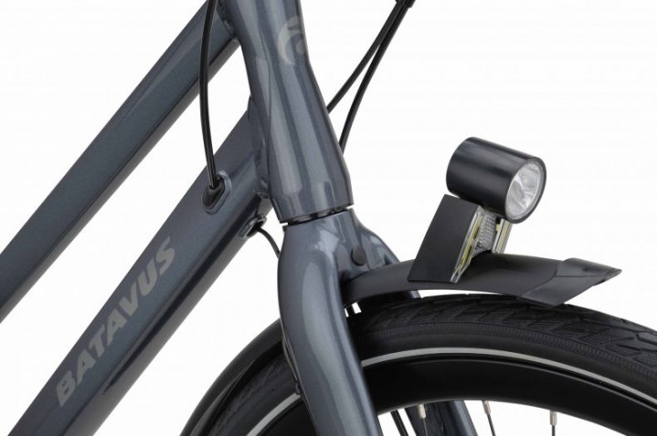 Batavus Dinsdag Exclusive Plus Dames | Broekhuis