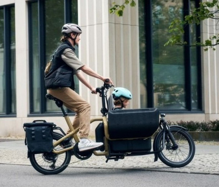 Riese & Müller Carrie Touring 725Wh FlexBox Kinderkap Bagagedrager | Broekhuis