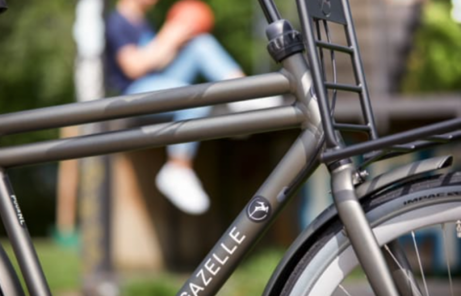 Gazelle PuurNL R3T Dames 2023 | Broekhuis