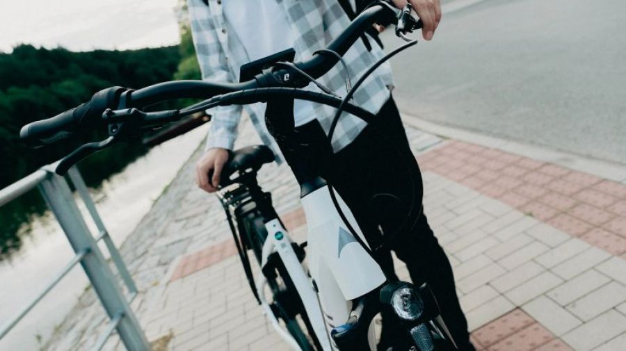 Levit Calvia Motinova 5 Dames 2024 | Broekhuis