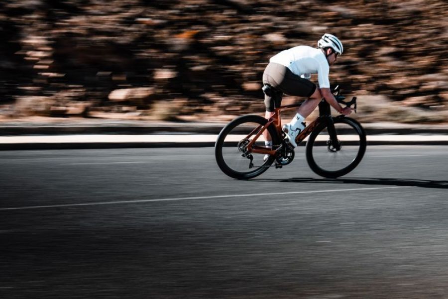 Koga Kinsei Prestige | Broekhuis