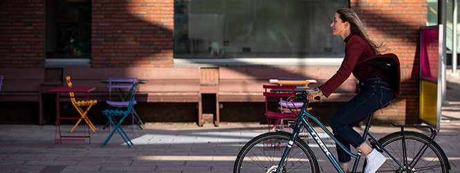 Trek District 3 Equipped | Hippe en stijlvolle stadsfiets met ...